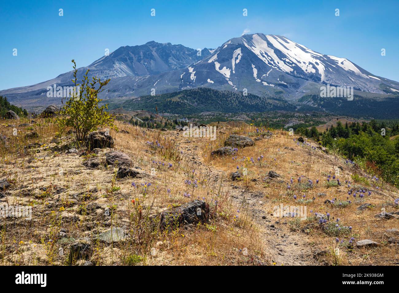 WA22522-00...WASHINGTON - The Hummocks Trail, location of hill-sized ...