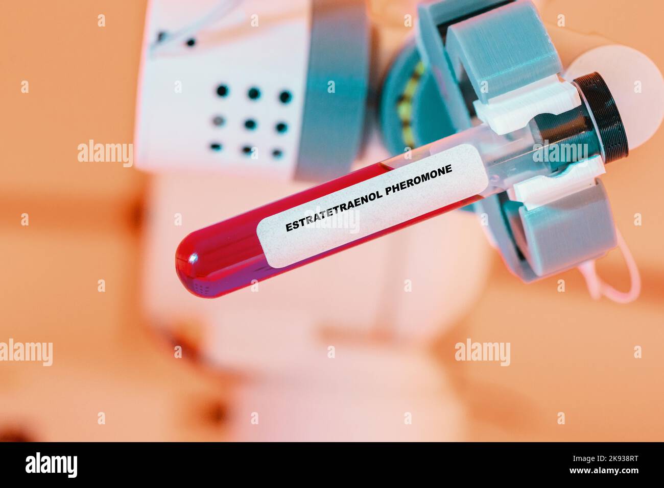 Estratetraenol Pheromone In test tube in biochemical lab Stock Photo ...