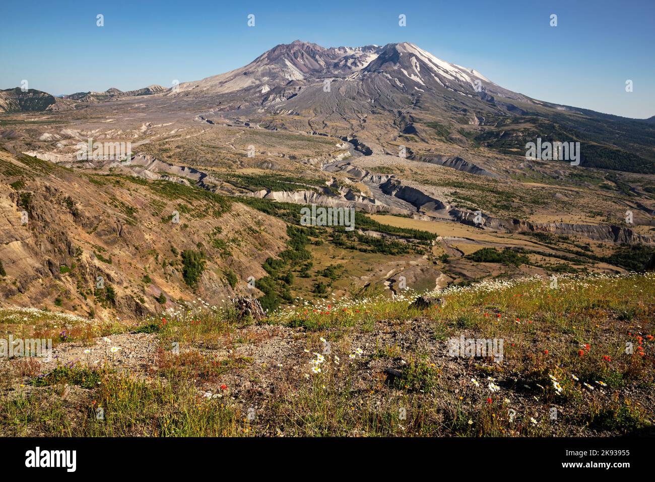 WA22533-00...WASHINGTON - North Fork Toutle River running below the ...