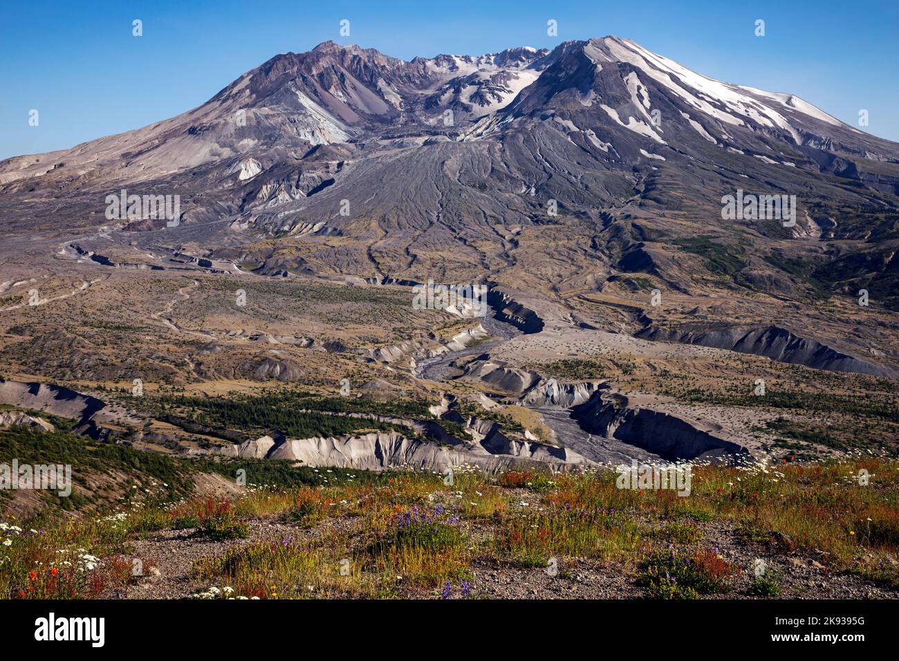 WA22534-00...WASHINGTON - North Fork Toutle River running below the ...