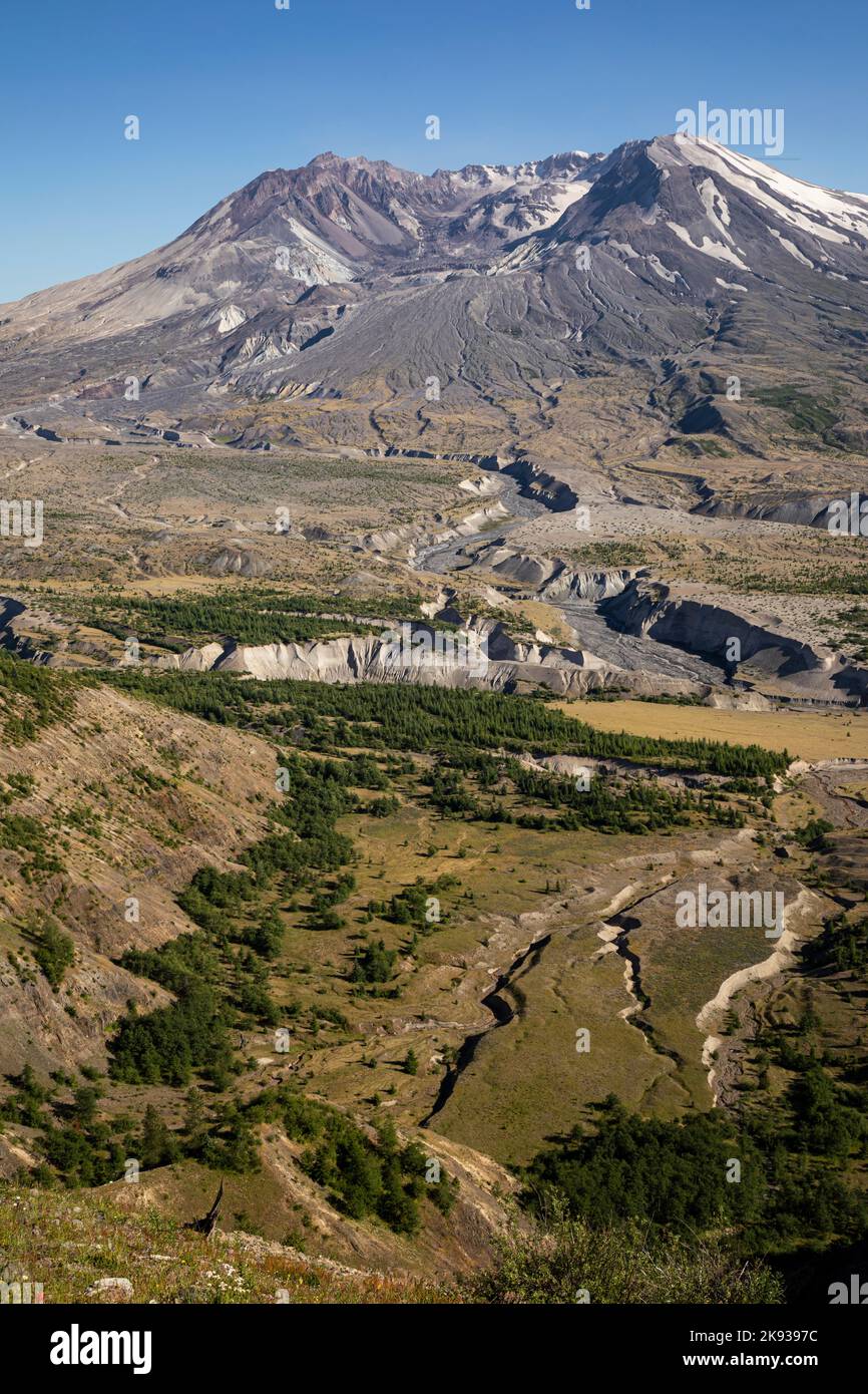 WA22536-00...WASHINGTON - Ecosystem rebuilding in the area devastated ...