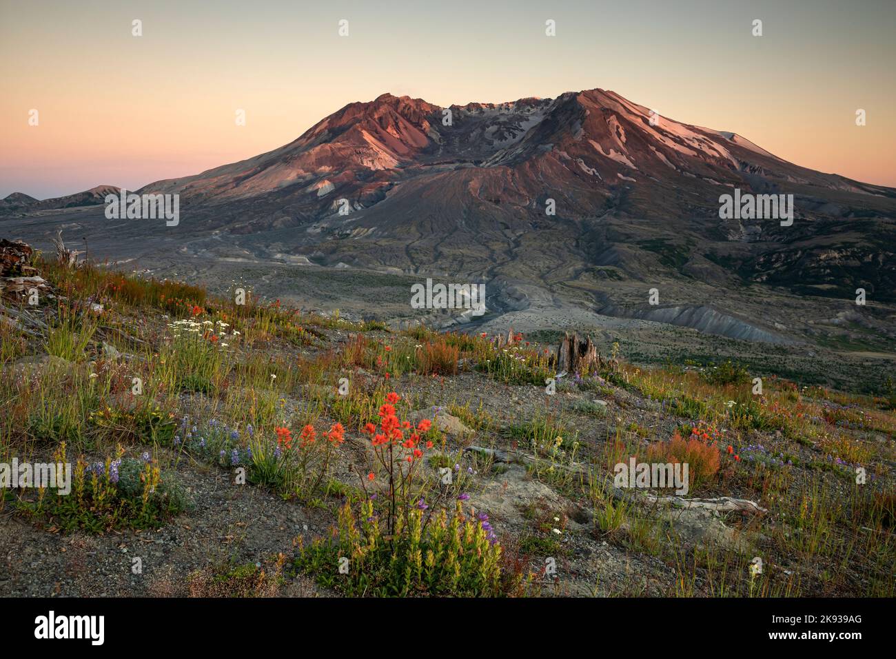 WA22540-00...WASHINGTON - Mount St. Helens at sunset from Johnston ...