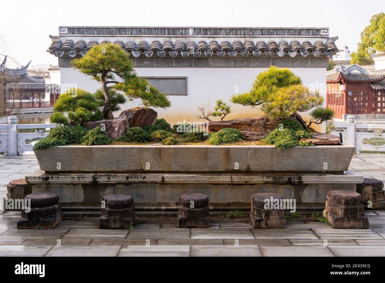 Original traditional Chinese art penjing or penzai. Miniature living ...