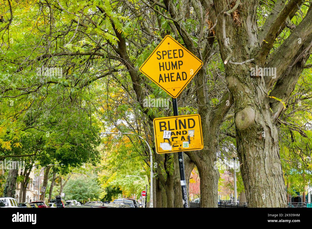 Speed hump ahead, blind and deaf signs. Wicker Park neighborhood ...