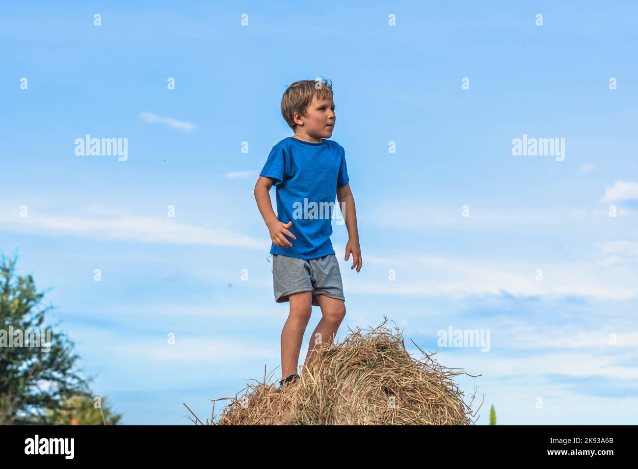 Boy smile play stand on haystack bales hay, looking into distance ...