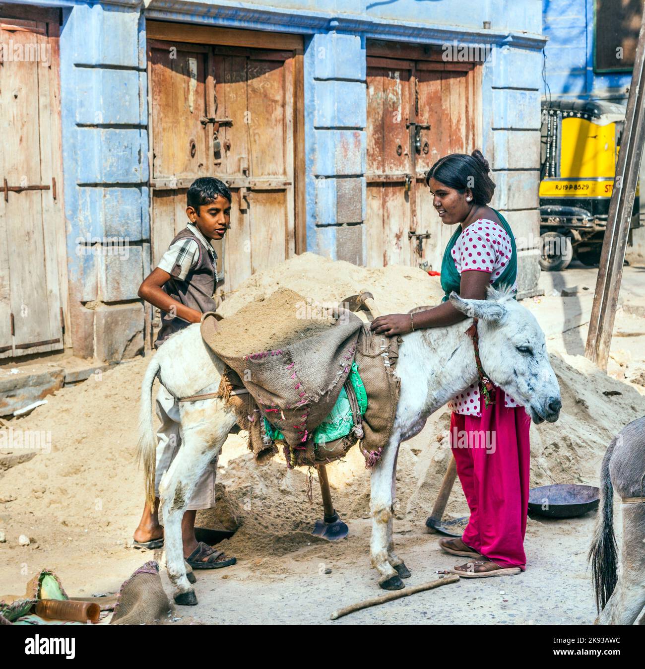 Indian donkey hi-res stock photography and images - Alamy
