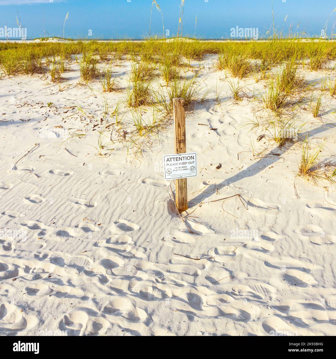 DAUPHINE ISLAND, USA - JULY 18, 2013: protected area for shorebird ...