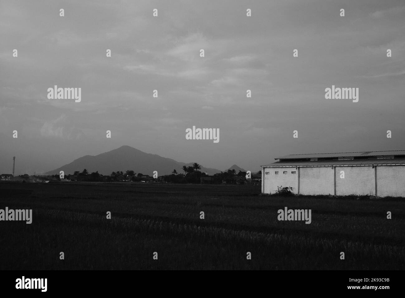 Black and white photo, Monochrome photo of silhouette of a rice barn on ...
