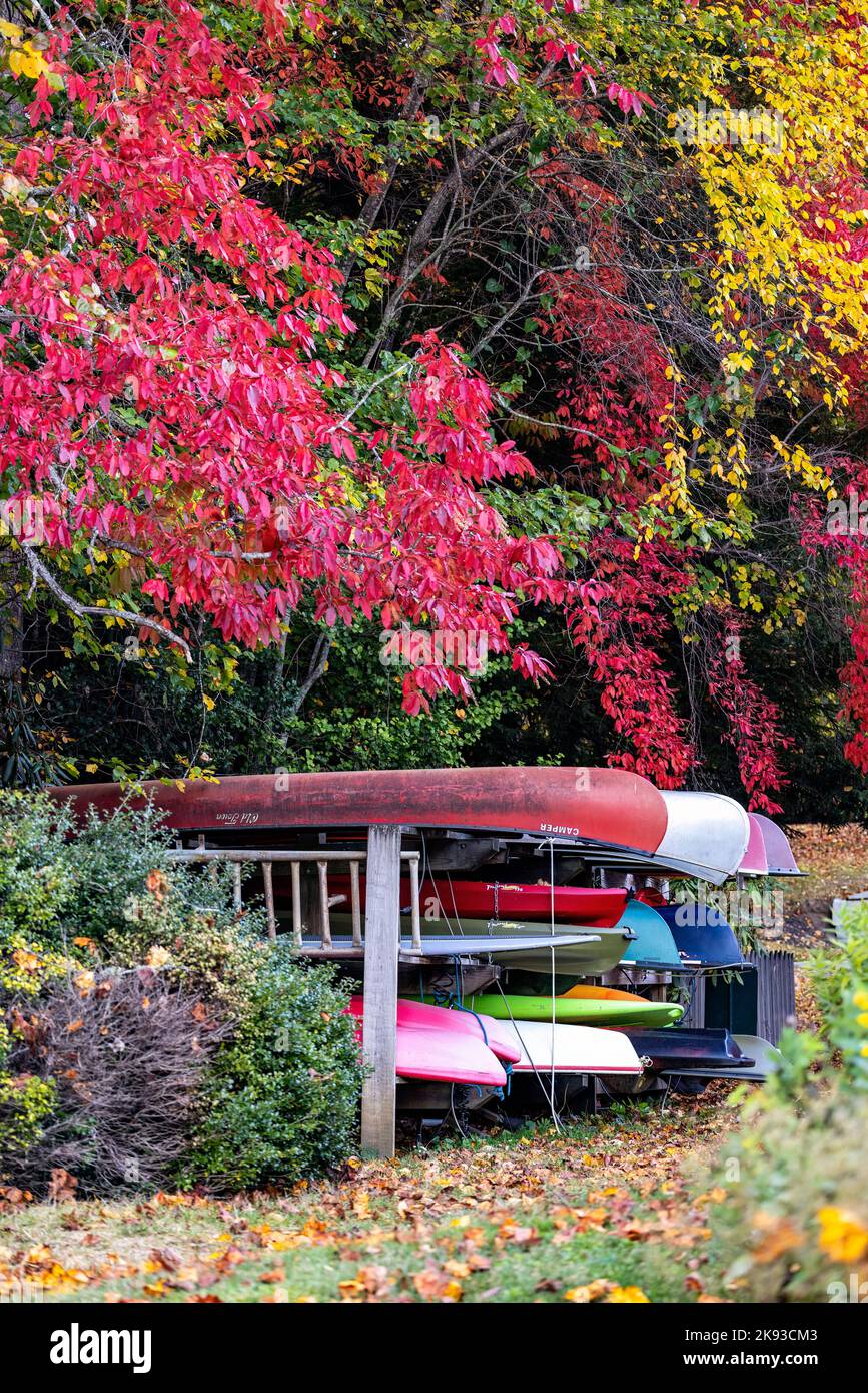 Colorful canoes and kayaks surrounded by vibrant fall foliage - Brevard ...