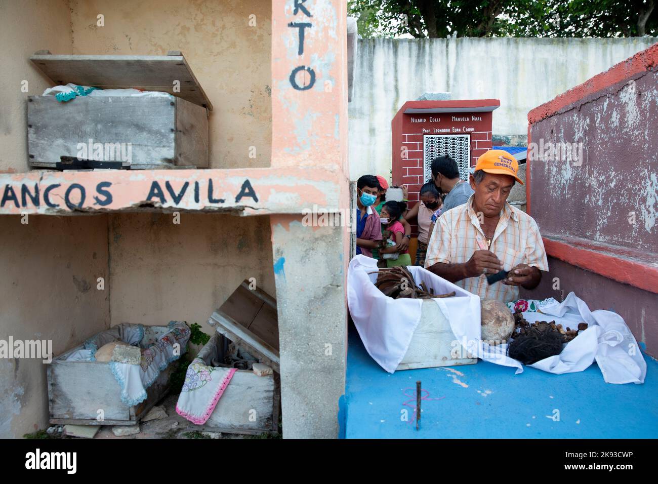 Bone cleaner hi-res stock photography and images - Alamy