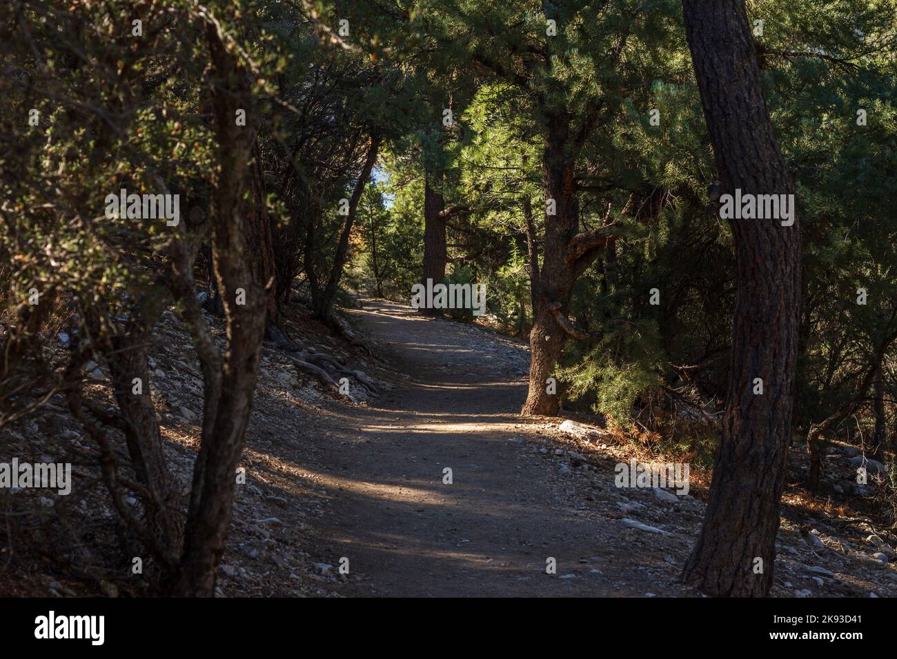 Fall path, hiking trail Stock Photo - Alamy