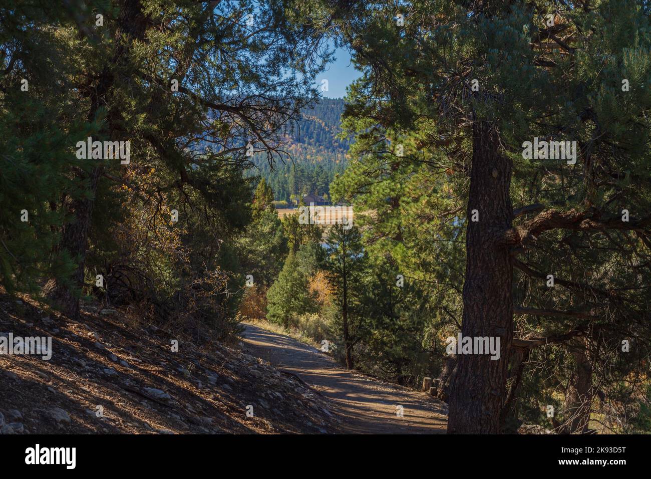 Rrail hi-res stock photography and images - Alamy