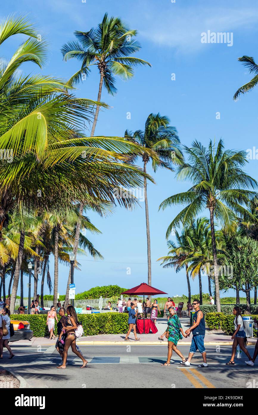 MIAMI, USA - AUG 23, 2014: people walk along the promenade at ocean ...