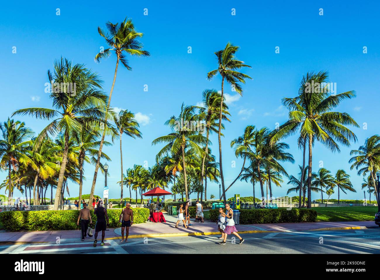 MIAMI, USA - AUG 23, 2014: people walk along the promenade at ocean ...