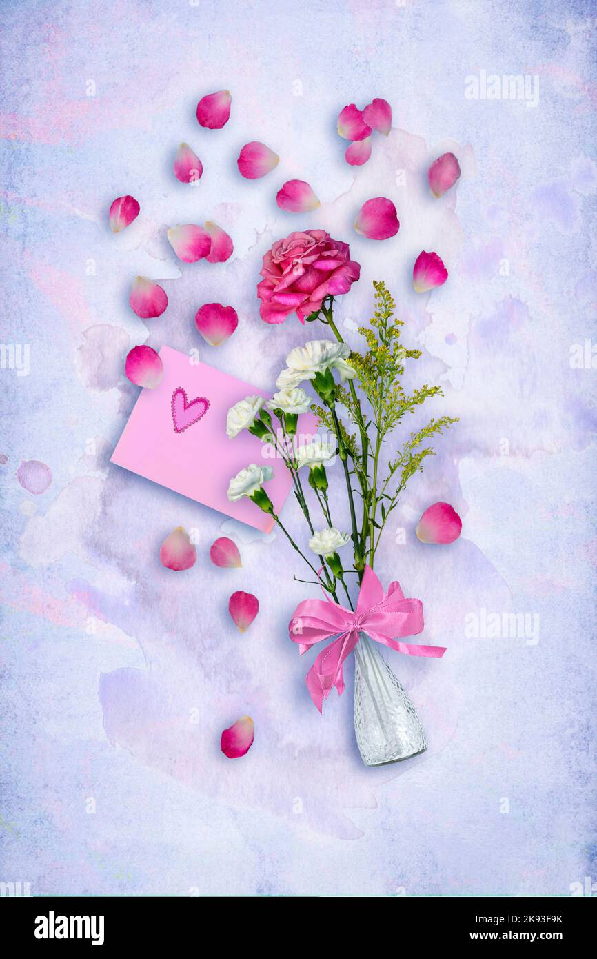 Rose carnation hi-res stock photography and images - Alamy