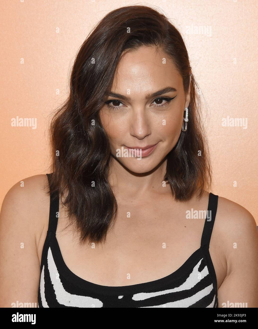 Los Angeles, USA. 25th Oct, 2022. Gal Gadot arrives at the Veuve ...