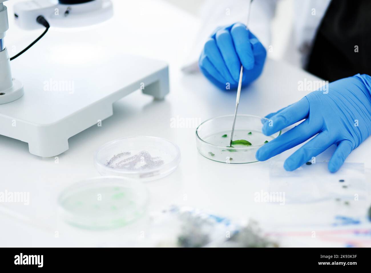 Studying the functioning of plants. a scientist conducting an ...
