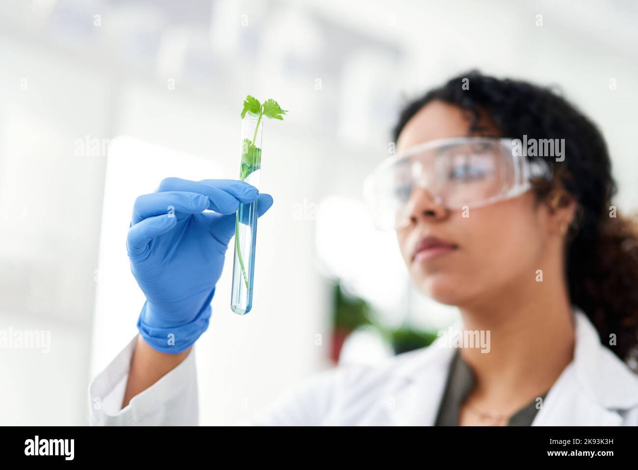 Some experiments need to be tended around the clock. a female scientist analyzing a plant in her ...