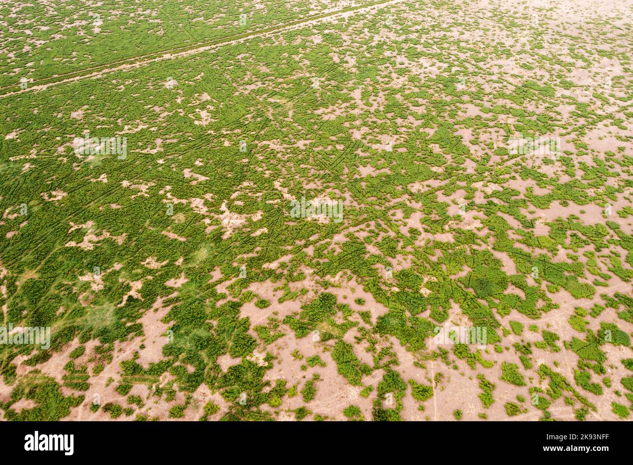 Splendid aerial photography of green wavy field Stock Photo - Alamy