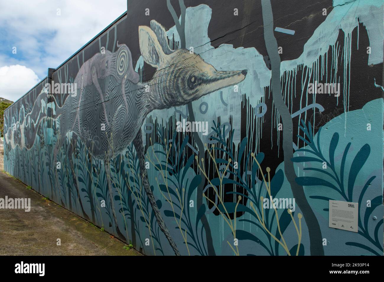 Street Art, Albany, WA, Australia Stock Photo - Alamy