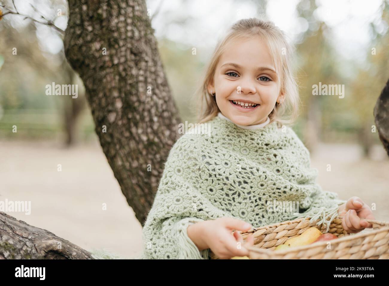 Child picking pears on farm in autumn. Little girl playing in pears ...