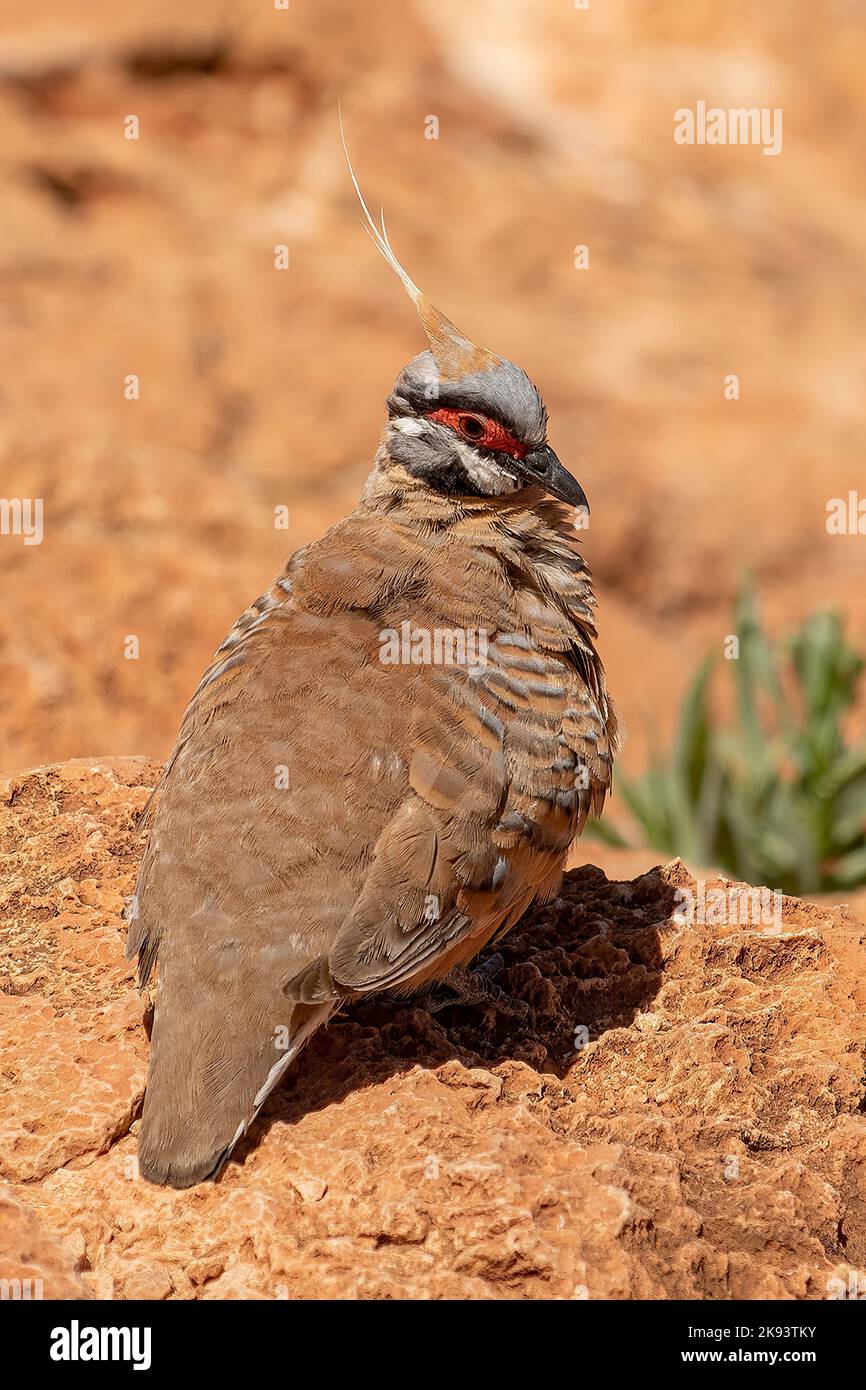 Pigeon creek park hi-res stock photography and images - Alamy