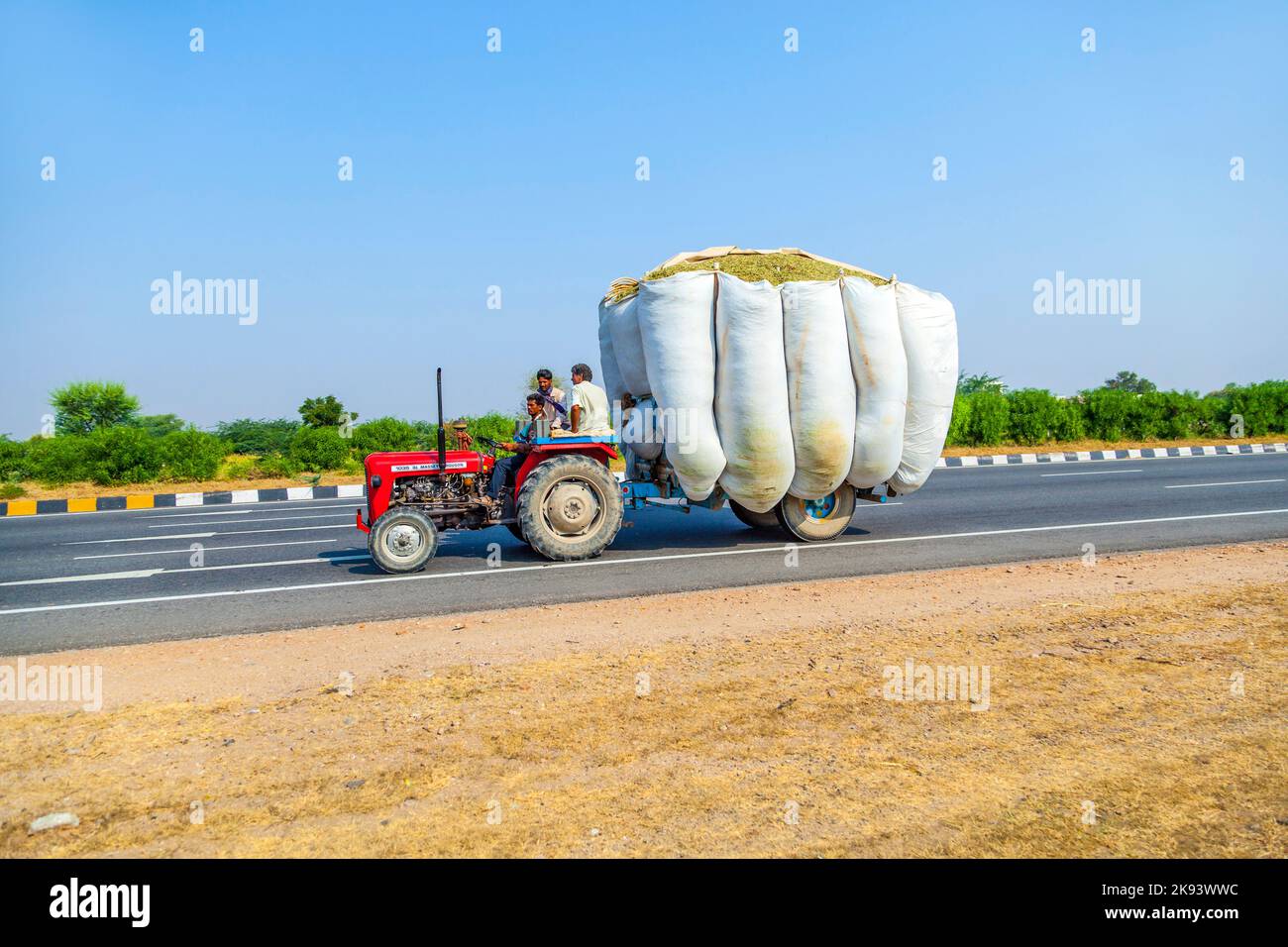 RAJASTHAN, INDIA - FEB. 24: timber transport with tractor on country ...