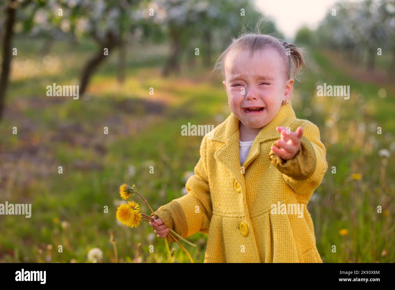 Little funny girl crying on a walk. A child in a spring garden is upset ...