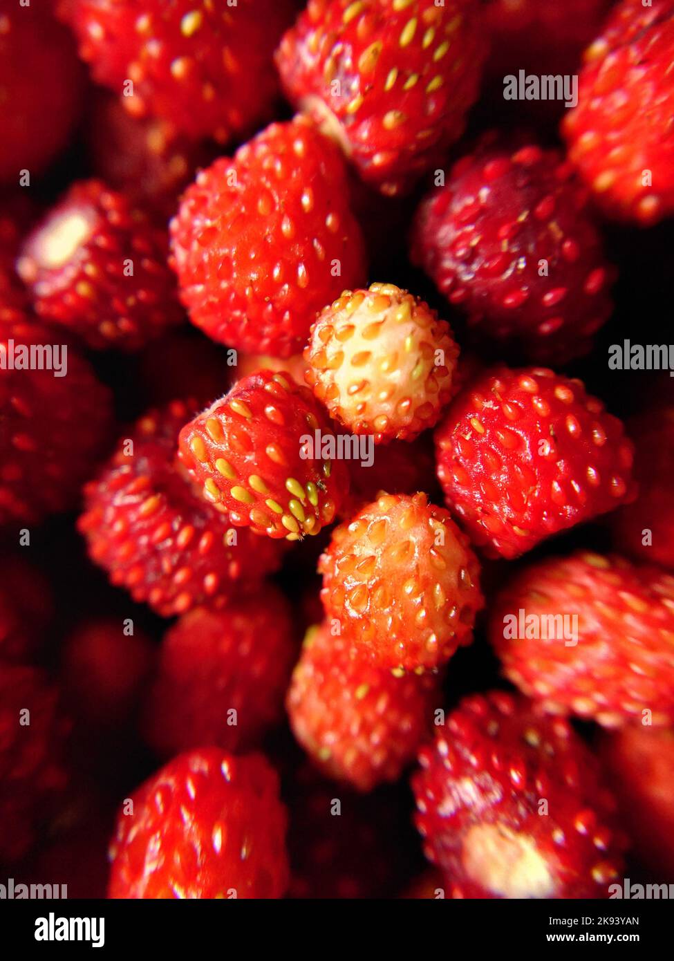 Strawberry texture images hi-res stock photography and images - Alamy