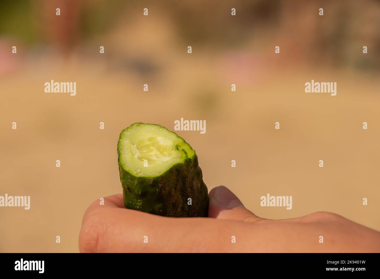 bitten cucumber in a man's hand on a blurred background in the street ...
