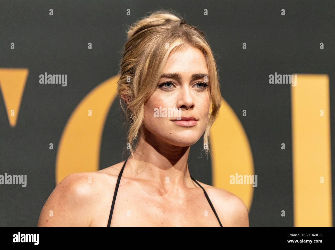 New York, USA. 25th Oct, 2022. Melissa Roxburgh attends 2022 WWD Honors Awards ceremony at Casa ...