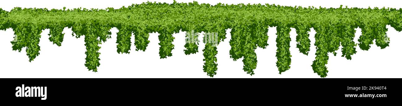 Horizontal seamless swamp moss texture on white background Stock Vector ...