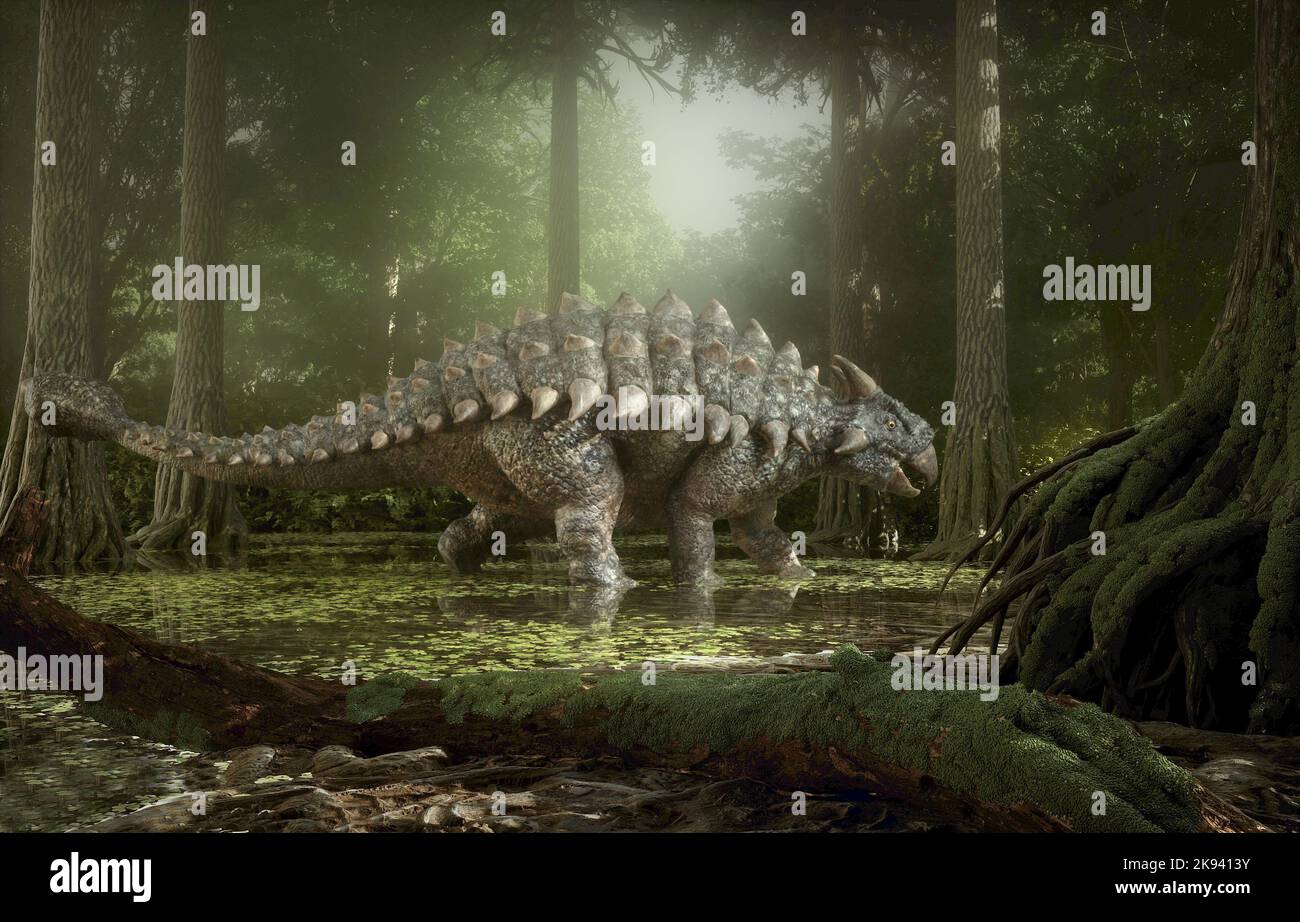 Ankylosaurus and tyrannosaurus hi-res stock photography and images - Alamy