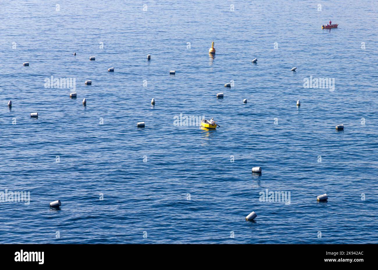 Bed mediterranean mussels hi-res stock photography and images - Alamy