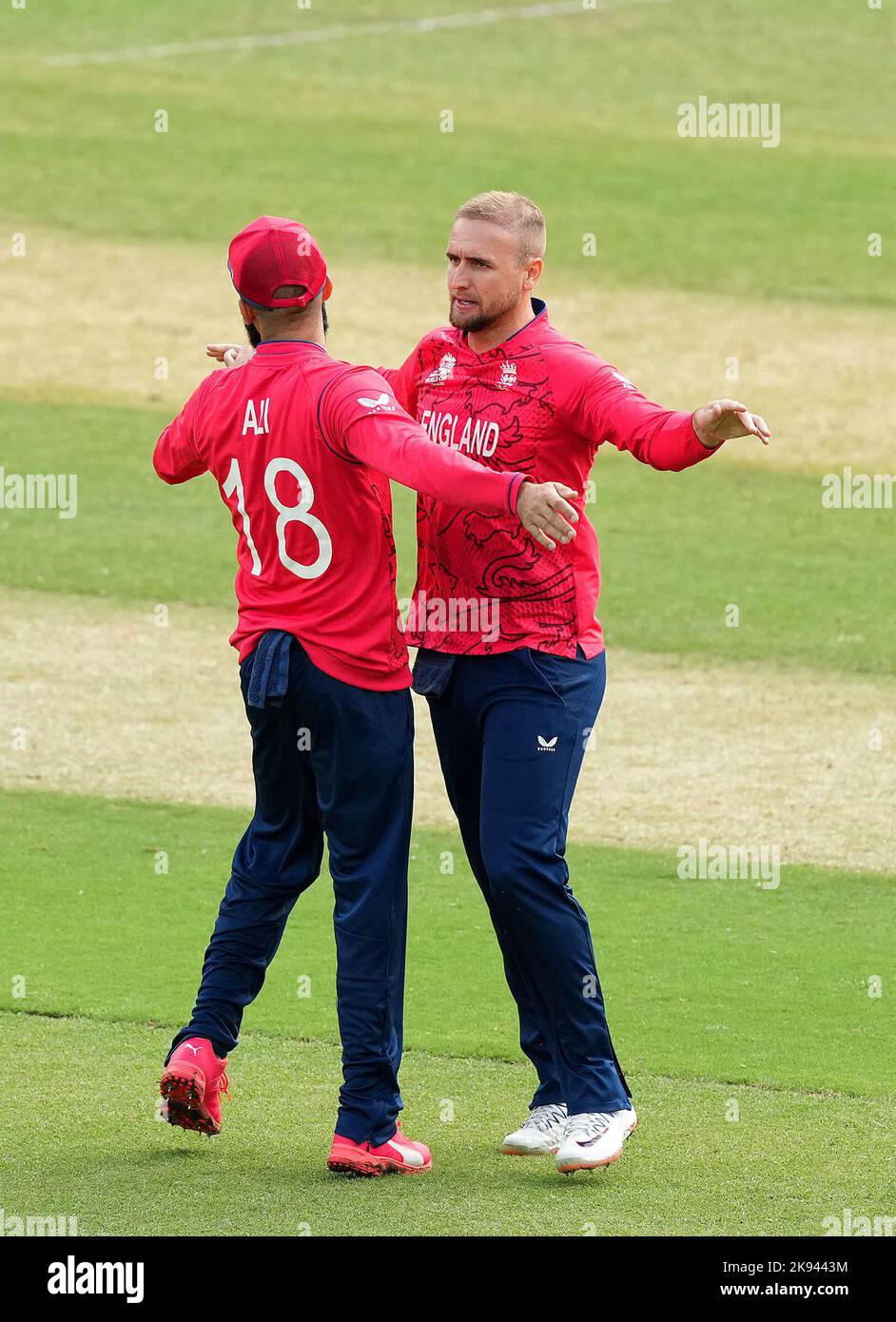 England's Liam Livingstone (right) celebrates after dismissing Ireland ...