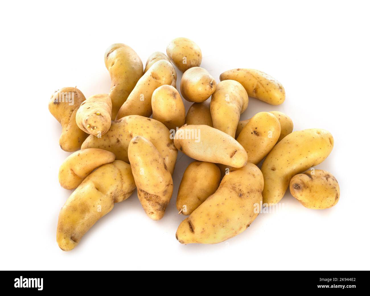 Ratte potato in front of white background Stock Photo - Alamy
