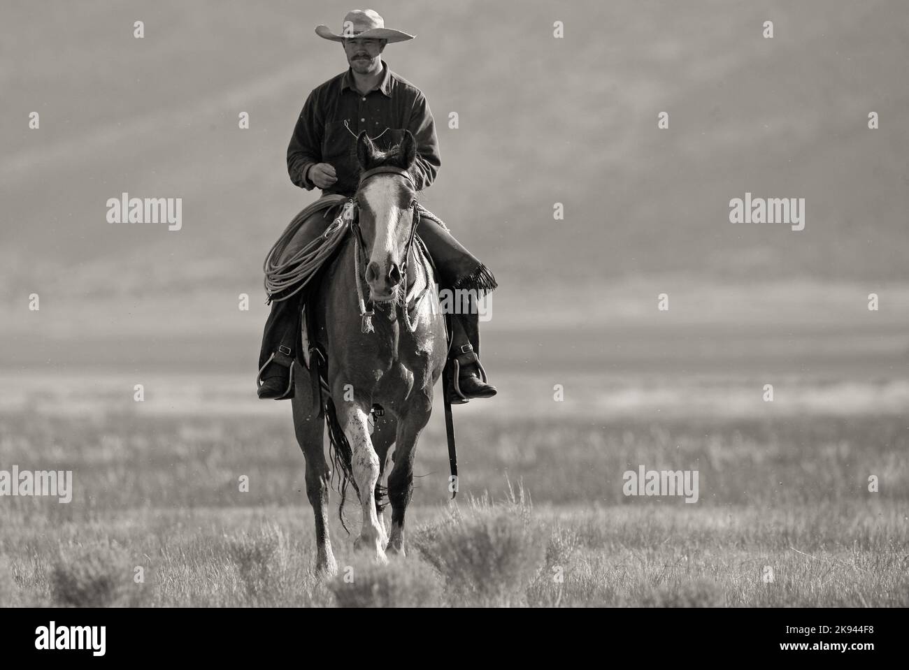 Valley survey hi-res stock photography and images - Alamy