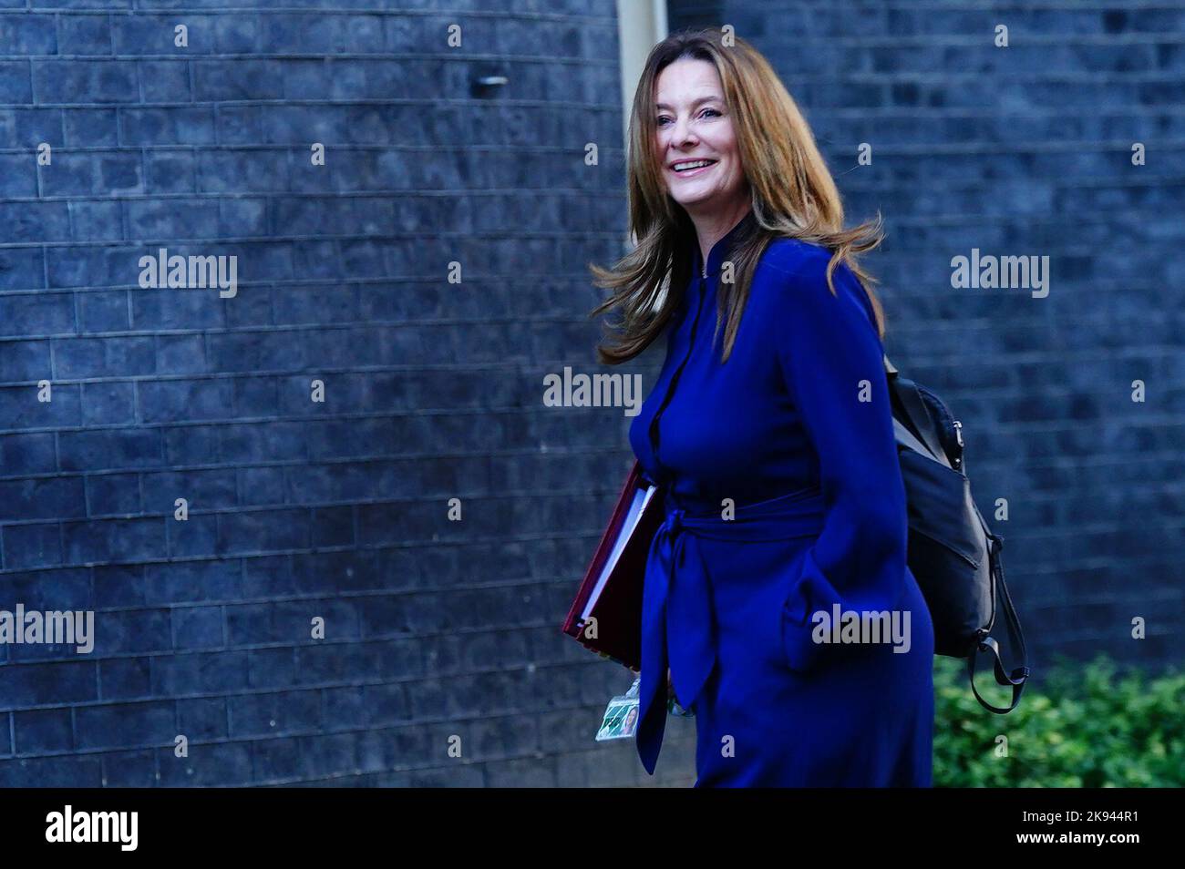 Education Secretary Gillian Keegan, arrives in Downing Street ...