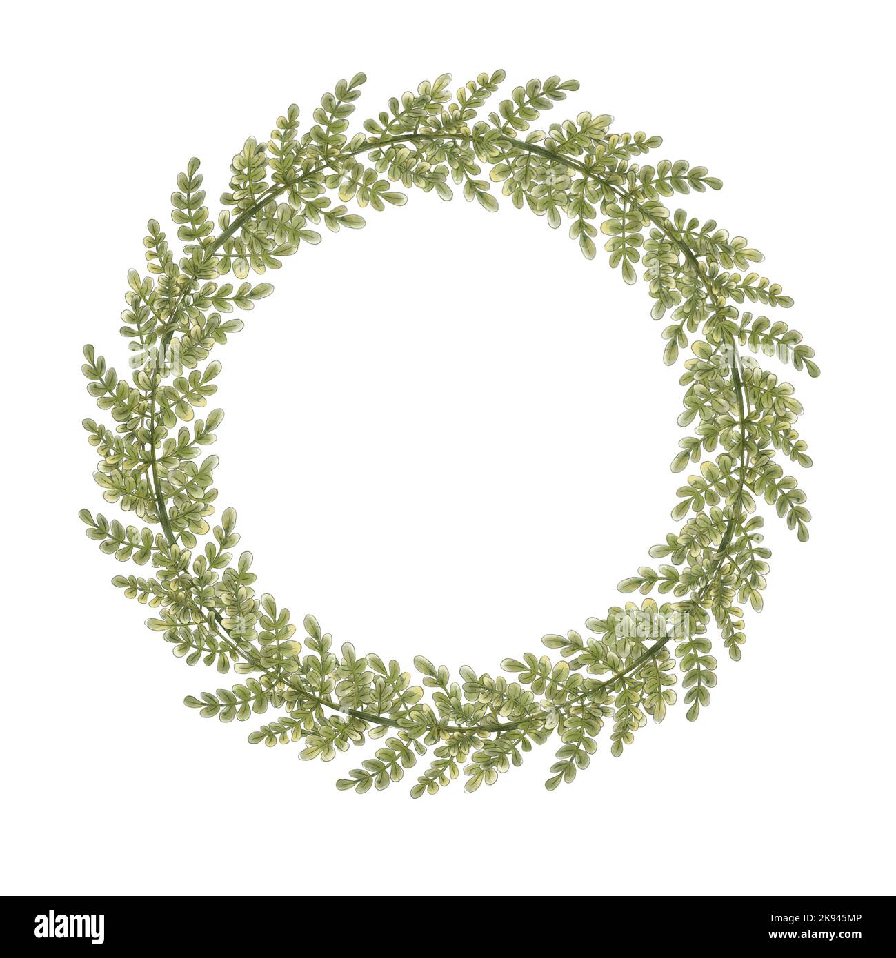 Floral wreath. Greenery branches, Isolated on white background. Design ...