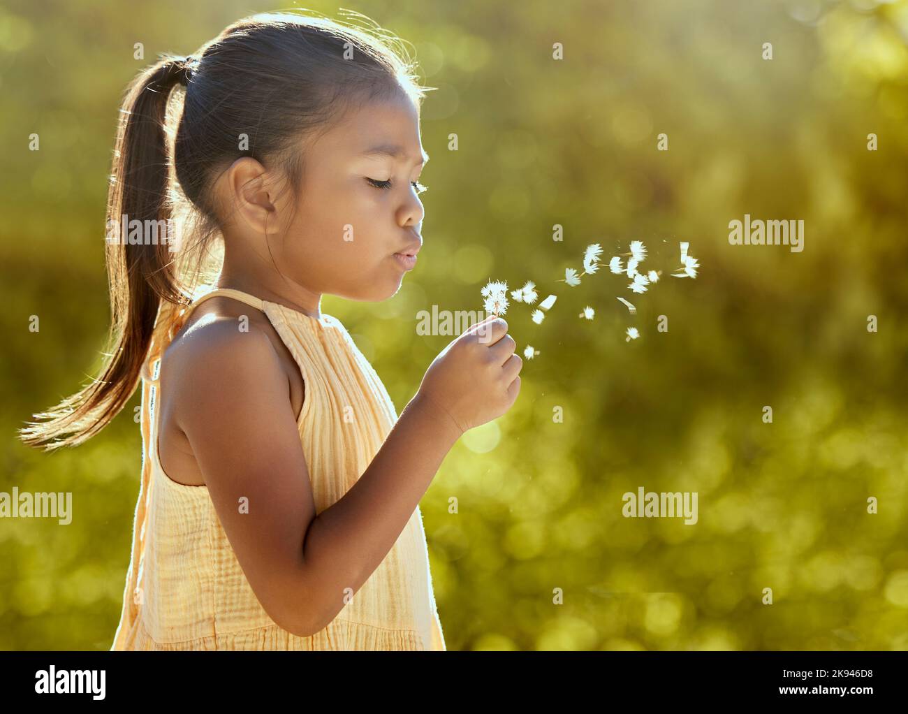Child, girl or blowing dandelion flower in summer garden, nature park ...
