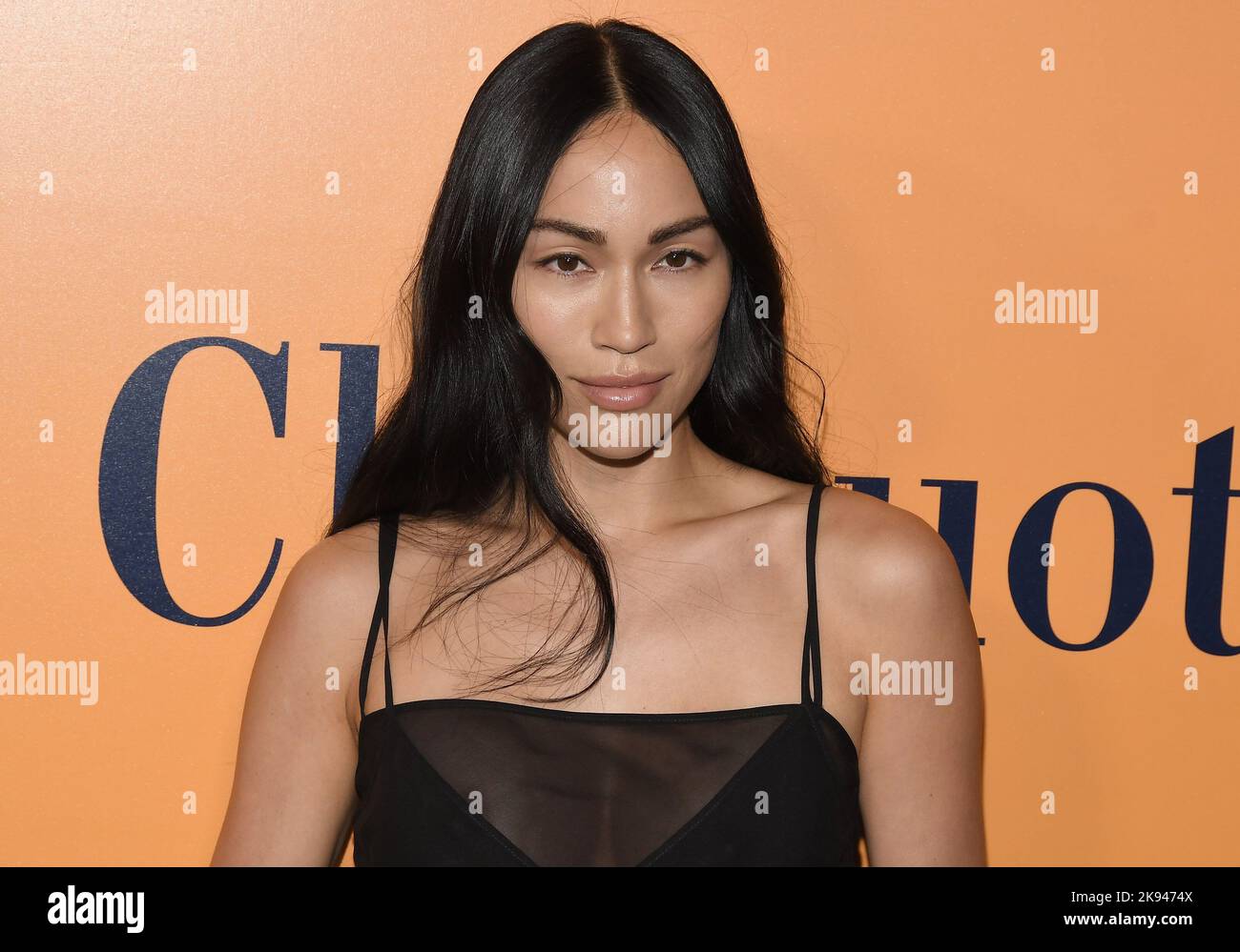 Stephanie Shepherd arrives at the Veuve Clicquot Celebrates 250th ...