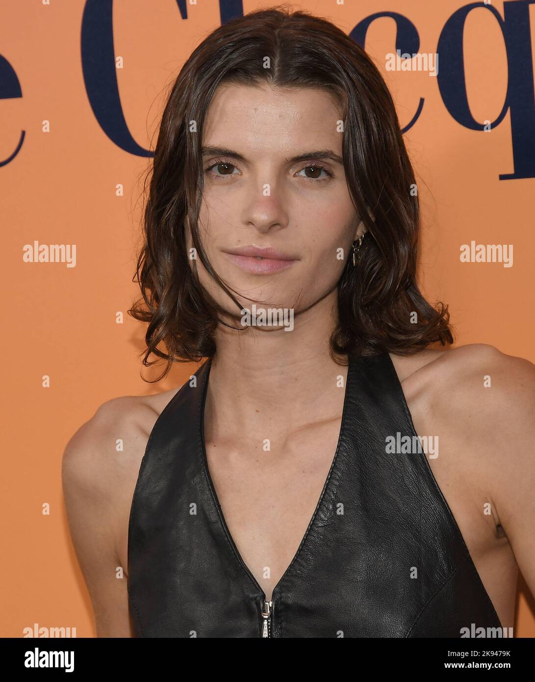 Raph arrives at the Veuve Clicquot Celebrates 250th Anniversary With ...