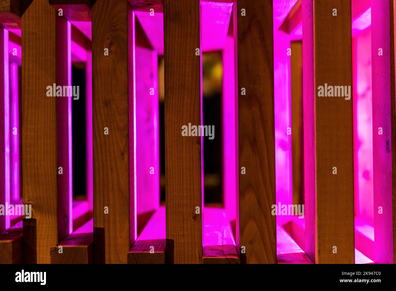 Abstract background of wooden slats illuminated with purple neon light ...