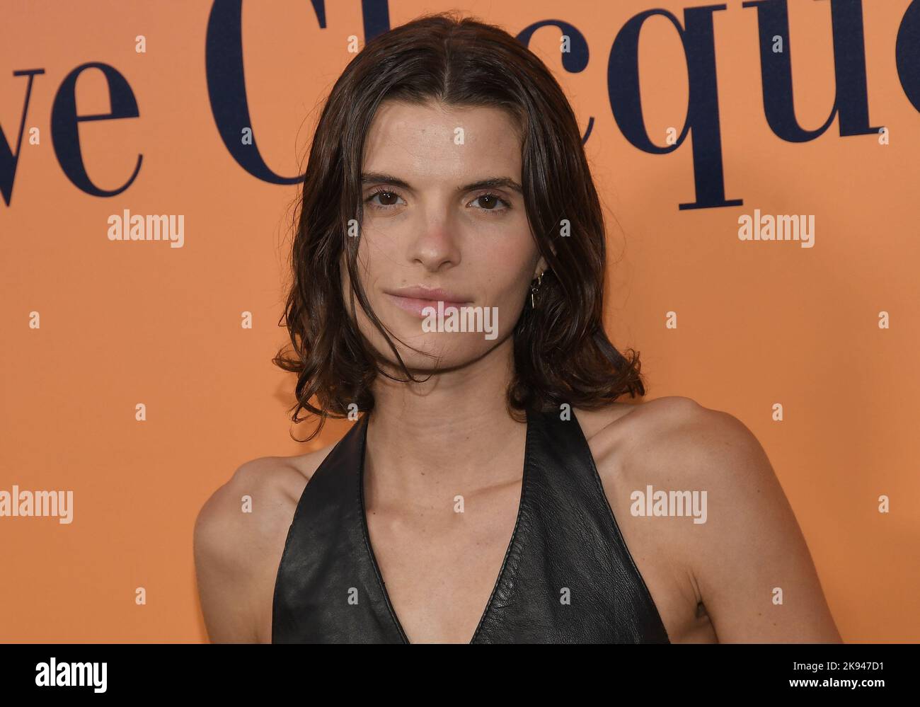 Los Angeles, USA. 25th Oct, 2022. Raph arrives at the Veuve Clicquot ...