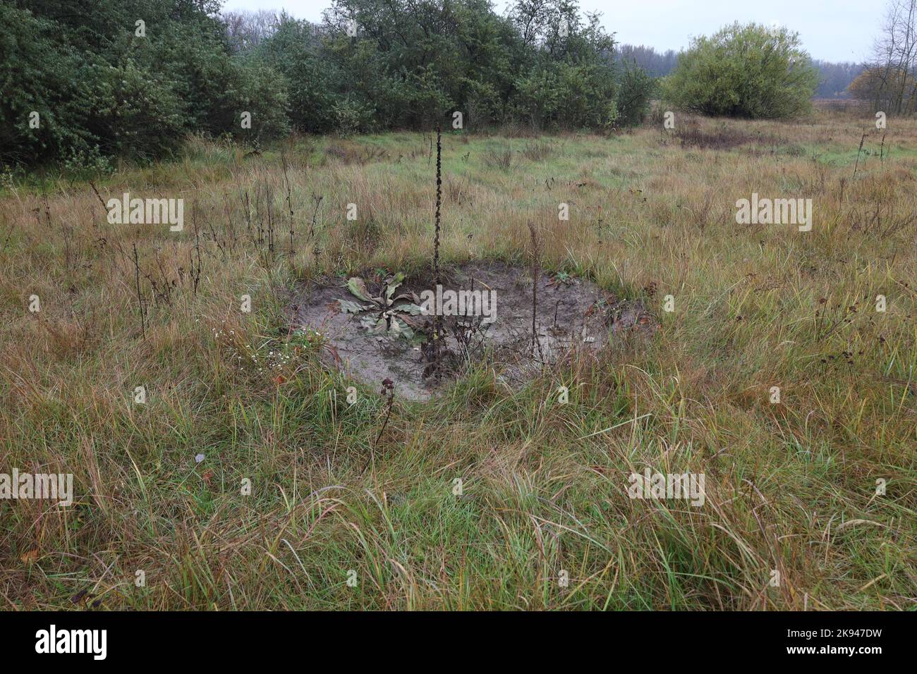 Crater after a shell hit, war in Ukraine, demining, artillery strikes ...