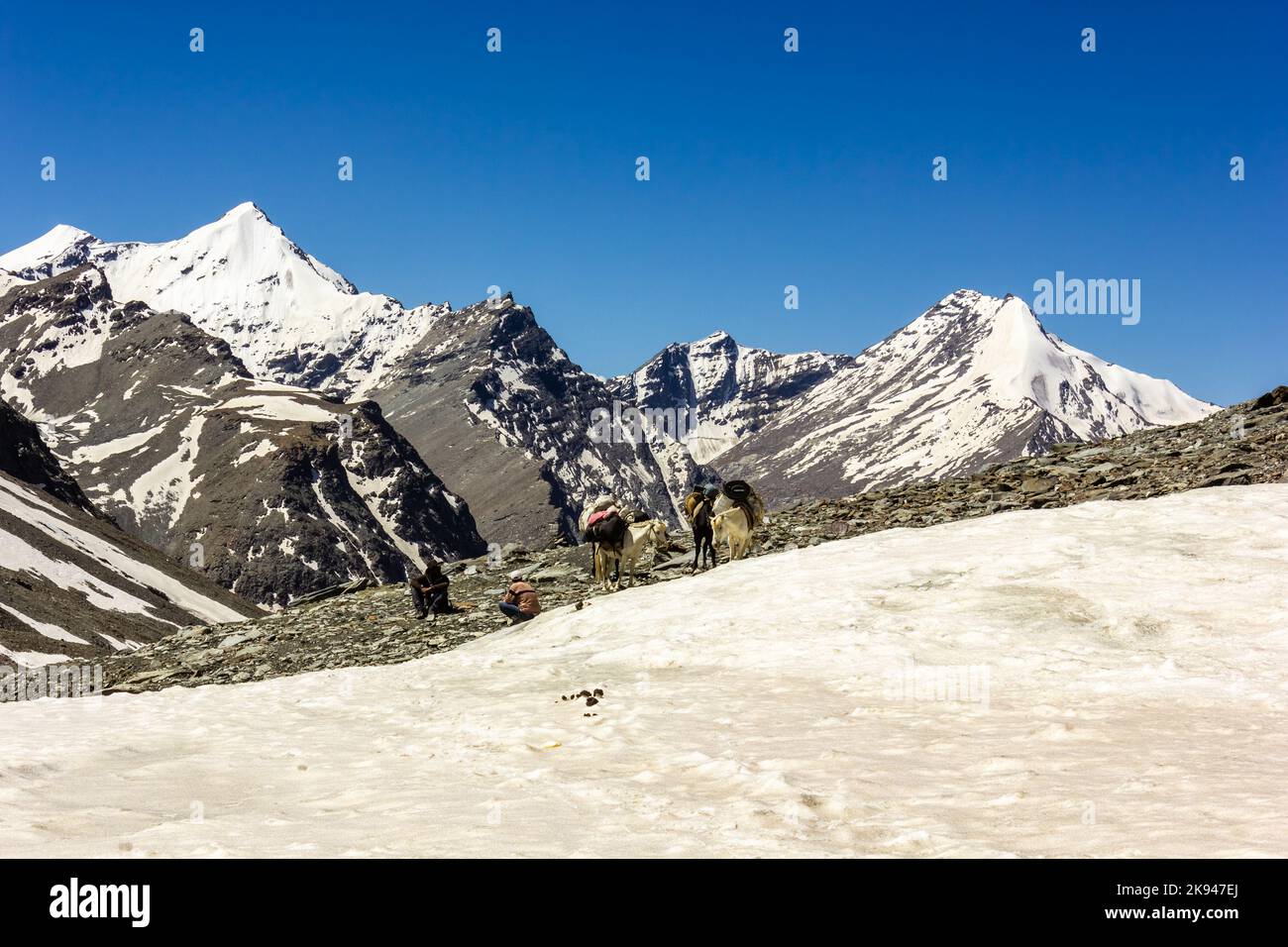 Zanskar, India - July 2012: A trekking trail through thick snow leading ...