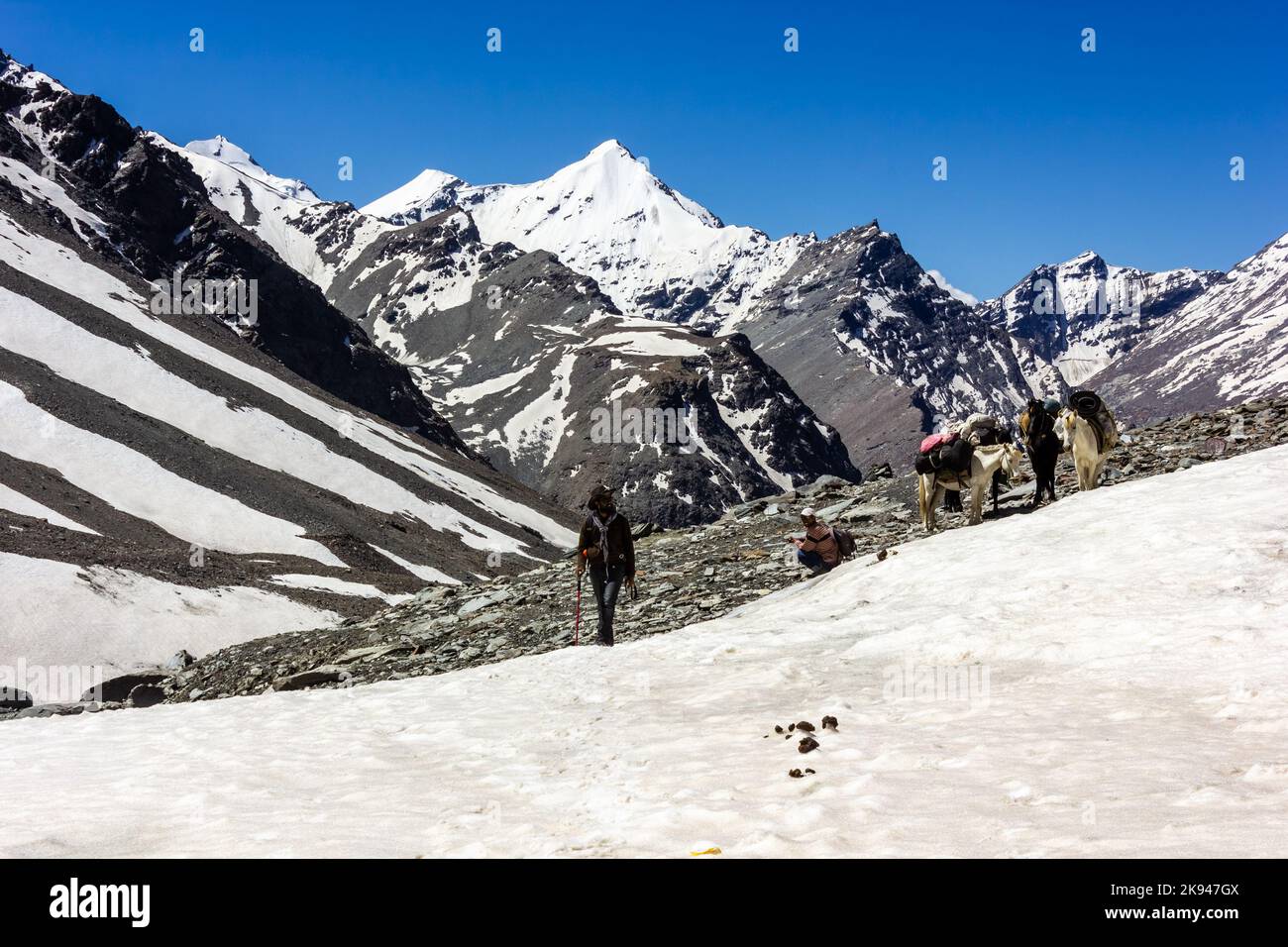 Zanskar, India - July 2012: An Indian trekker walking on a trail ...