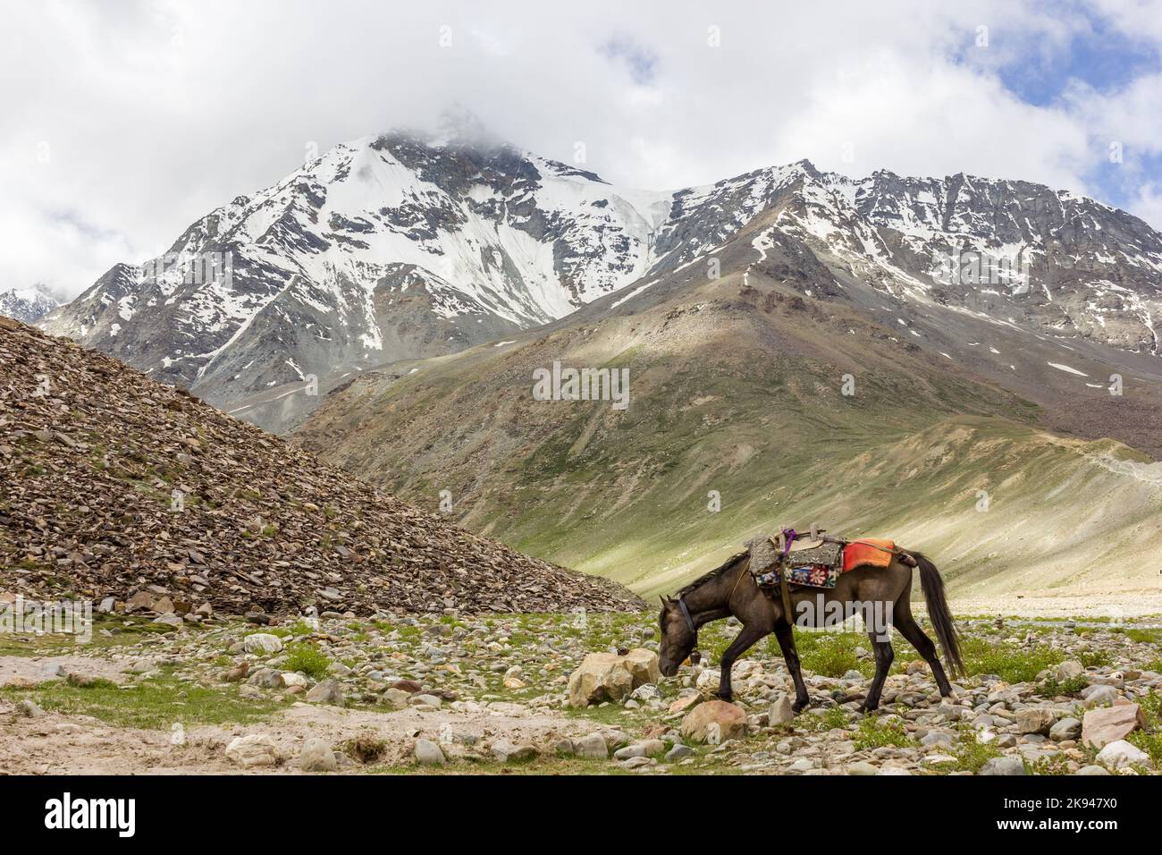 A horse walking in a beautiful Himalayan valley with snow capped ...