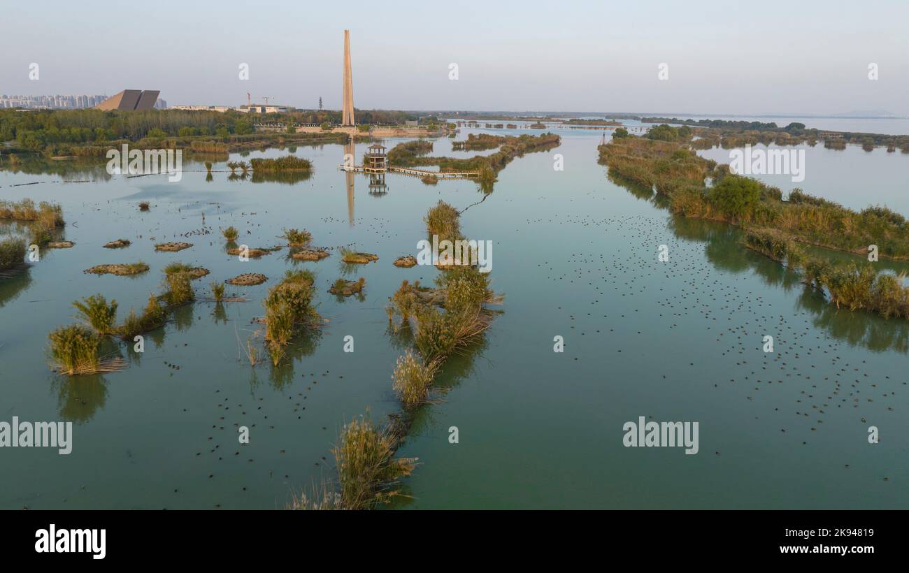 Aerial photos show a magnificent view that thousands of ducks splash in ...