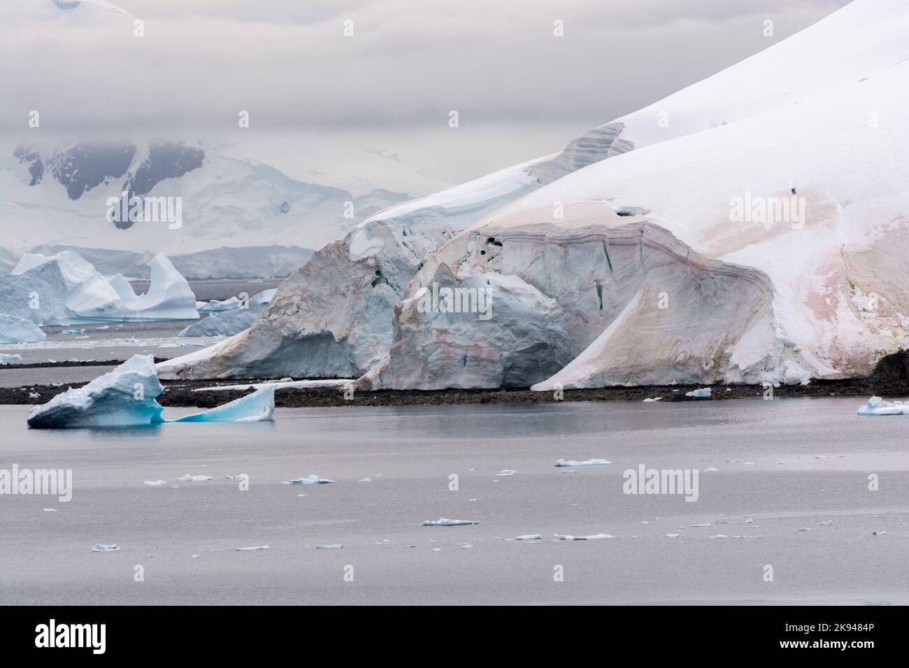 snow algae on ice and snow shoreline of cuverville island. errera ...